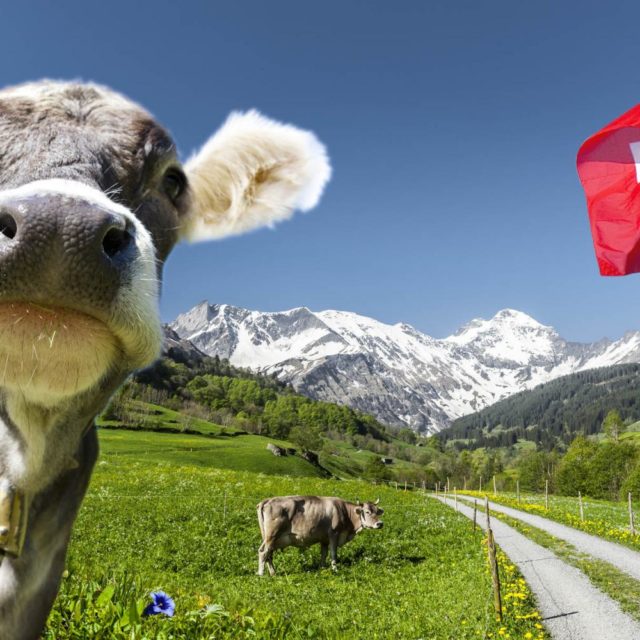 Happy Birthday Switzerland! - CommInt Interlaken