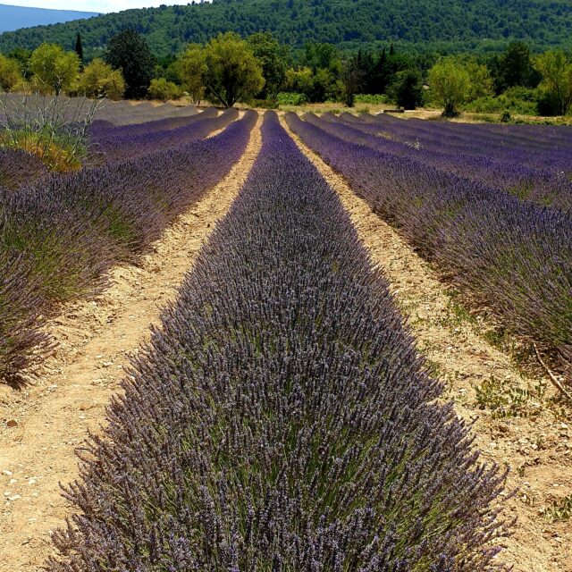 a Moment to enjoy - CommInt Interlaken